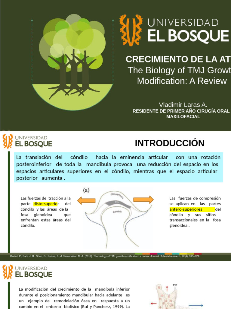 Crecimiento de La Atm: The Biology of TMJ Growth Modification: A Review ...