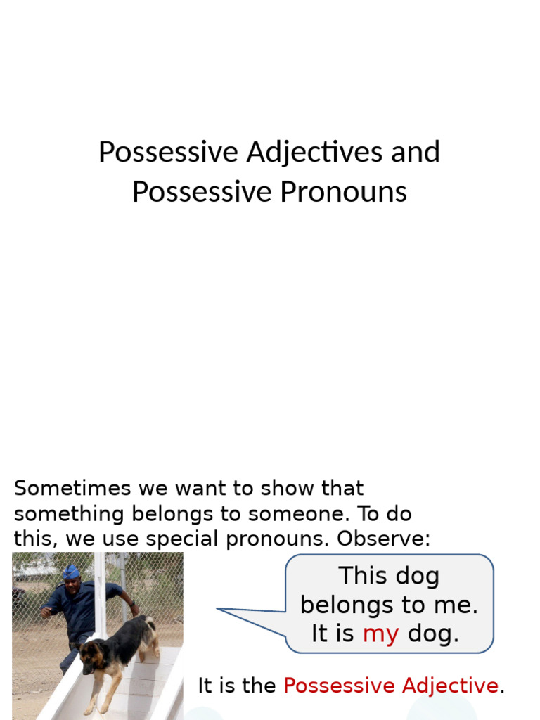 Possessive Adjectives and Pronouns Guide | PDF | Pronoun | Language ...