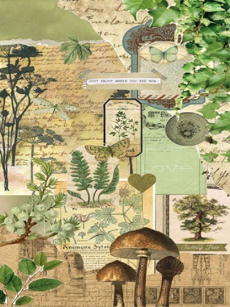 Portada de CYT | PDF