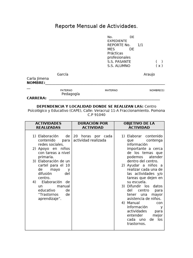 Reporte Mensual de Actividades 2024 | PDF | Aprendizaje | Modificación ...