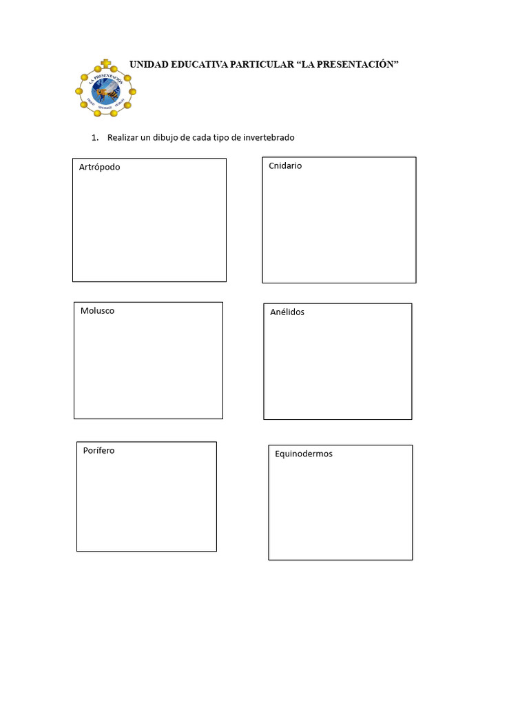 Clasificacion de Los Invertebrados | PDF | Ciencias sociales | Adultos ...