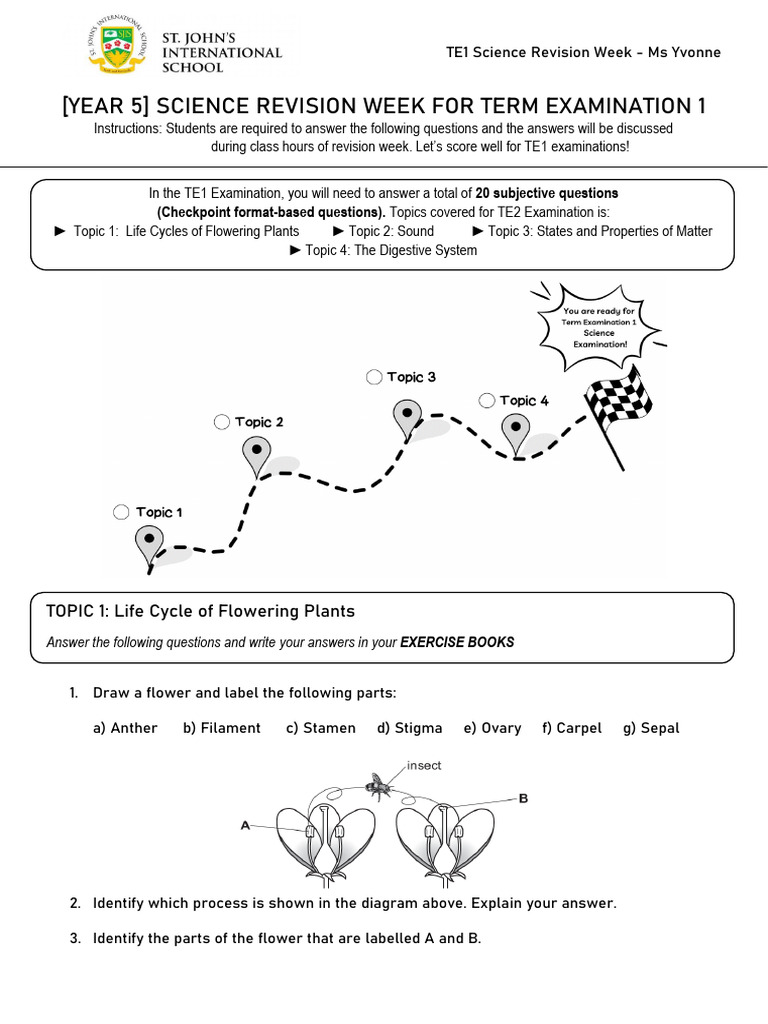 (YEAR 5) Revision TE11 2023 | PDF | Flowers | Sound