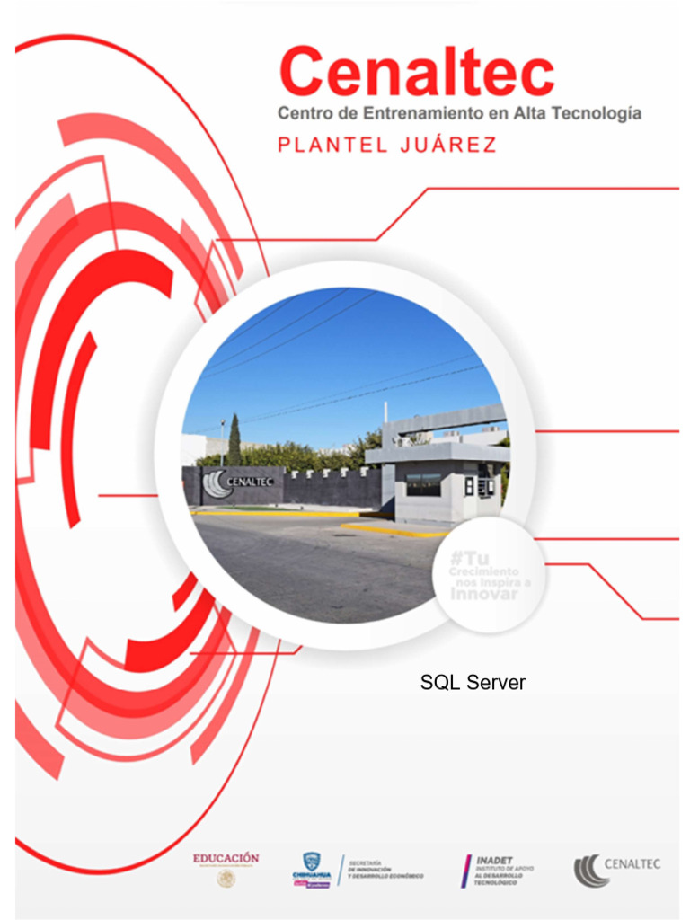 PDF Manual SQL Server Basico | PDF | Servidor SQL de Microsoft | Bases de datos