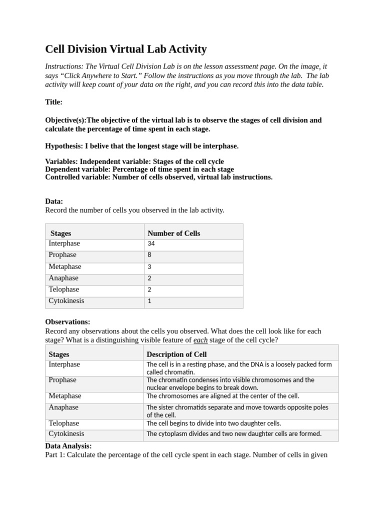 03 01 Virtual Cell Division Lab Report | PDF | Mitosis | Biological Processes