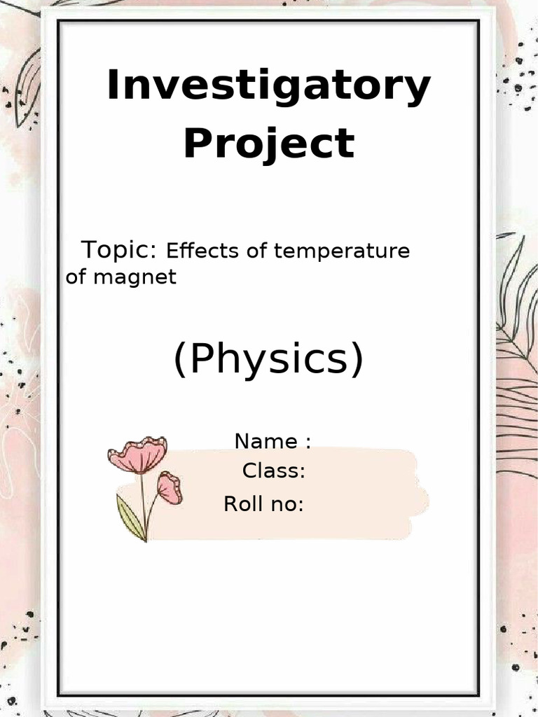 Physics project | PDF | Ferromagnetism | Magnetism