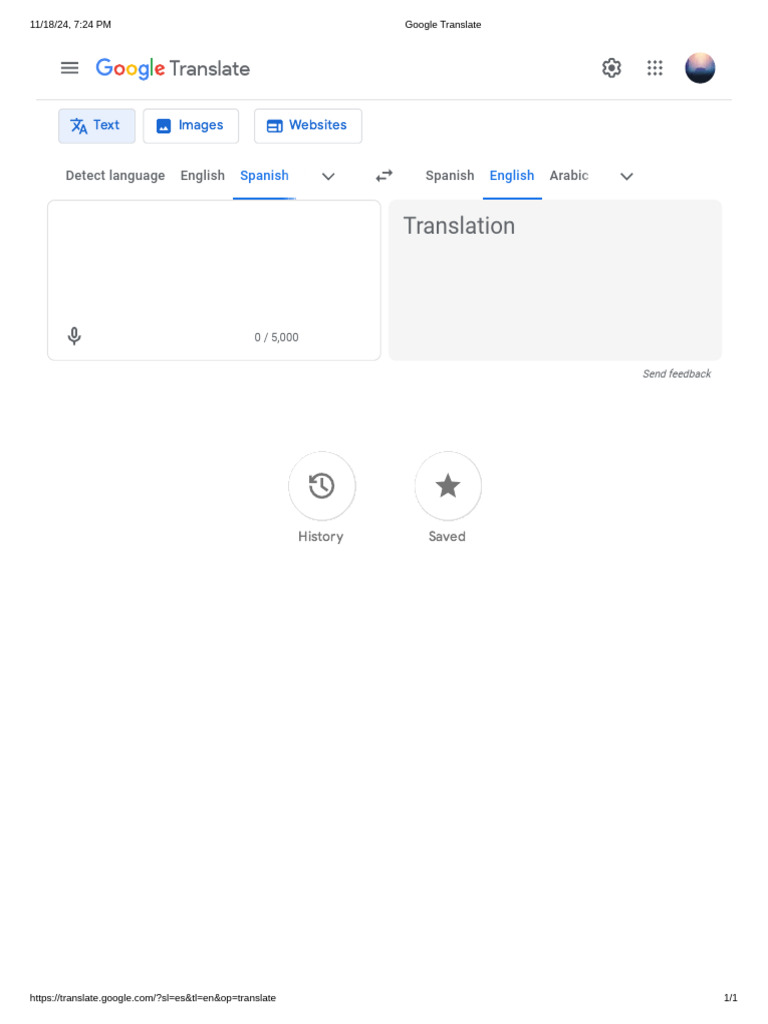 Google Translate | PDF
