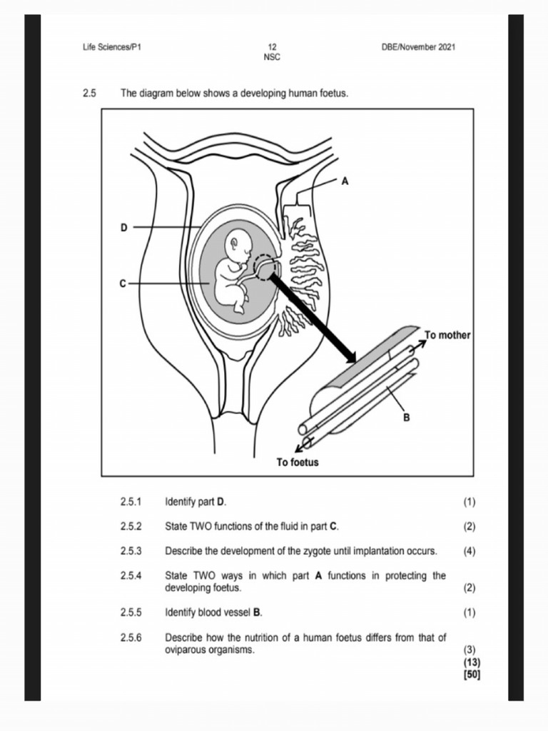 Reproduction - 241112 - 195640 | PDF