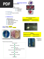 Prueba de Optoquina para Neumococos | PDF | Estreptococo | Microbiología