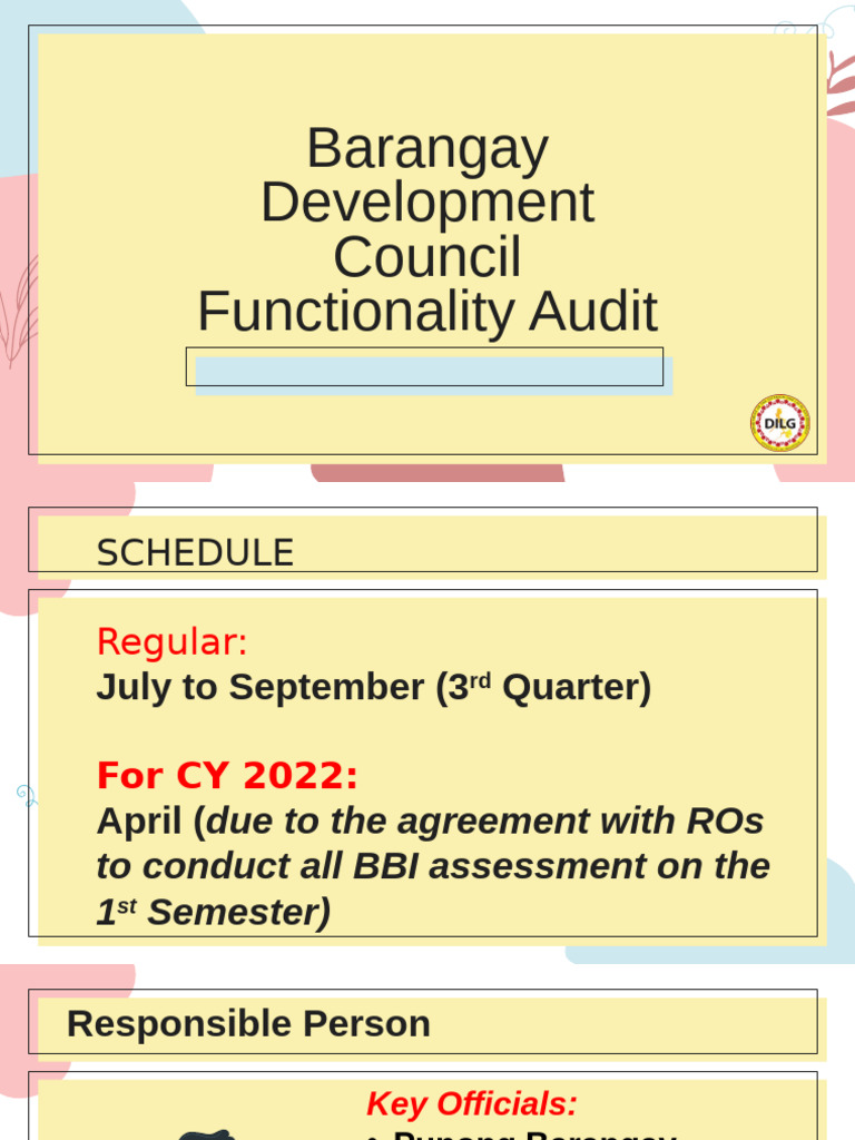 BDC Audit | PDF | Non Governmental Organization | Government