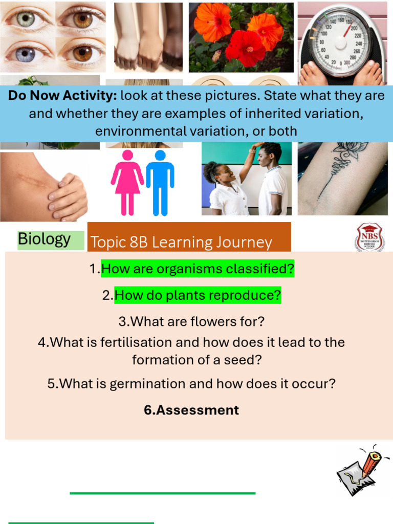 Topic 8B (Plants) - Lesson 2 | PDF | Reproduction | Sexual Reproduction