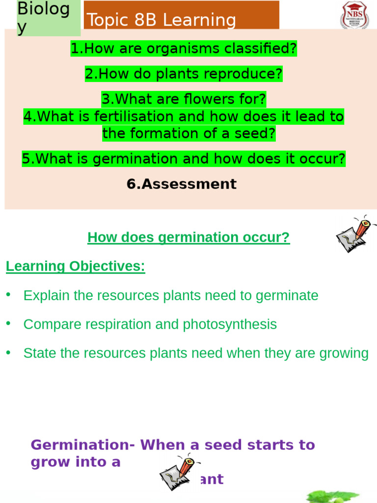 Topic 8B (Plants) - Lesson 5 | PDF | Plants | Seed