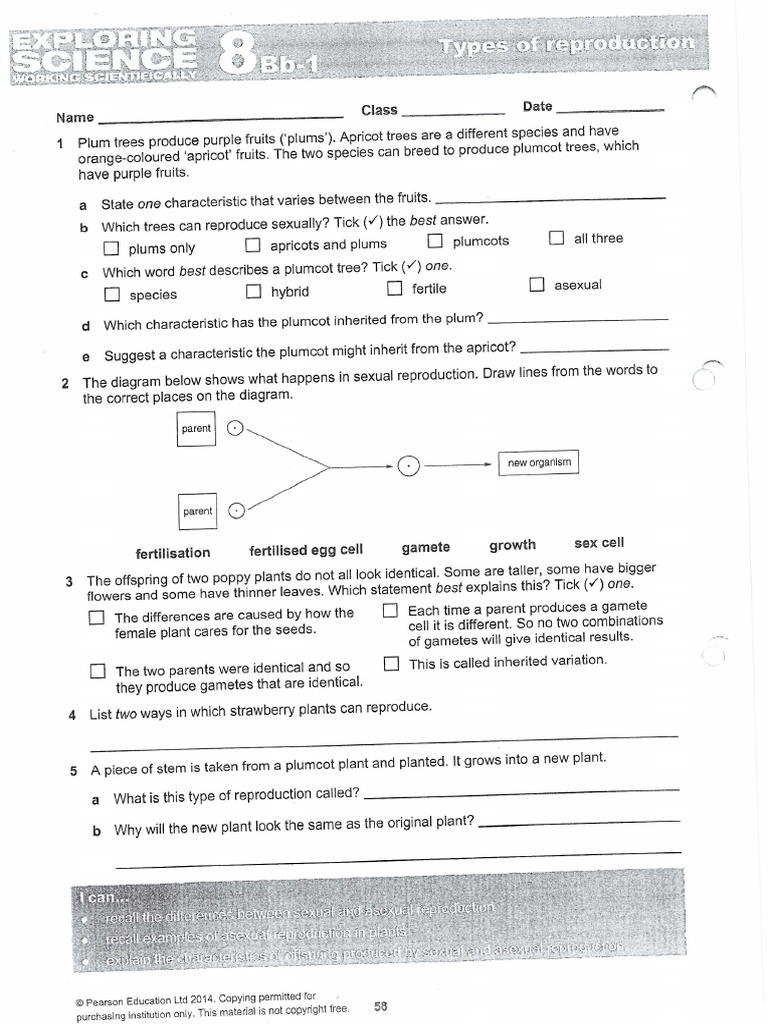 Lesson 2 Sheet 1 | PDF