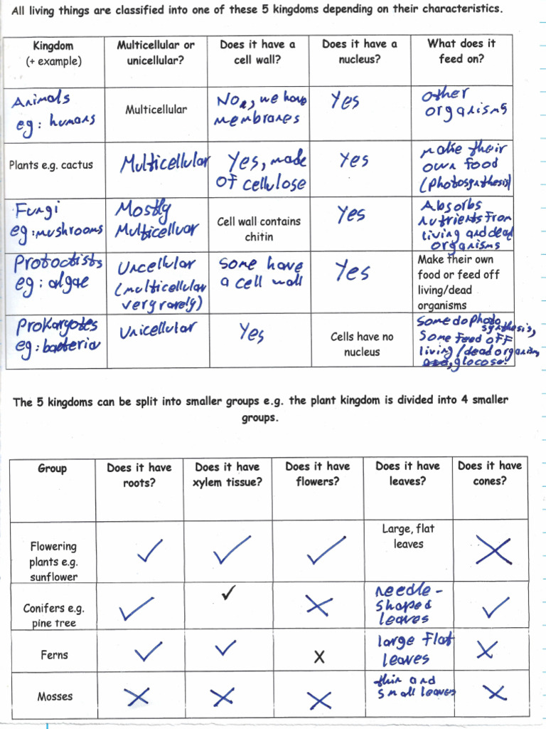 2024 11 18 - 164541 | PDF