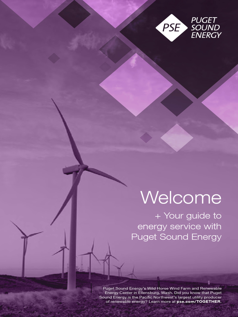 Summ Gas Pamphlet Res Comm 2021-05-01 | PDF | Efficient Energy Use | Taxes