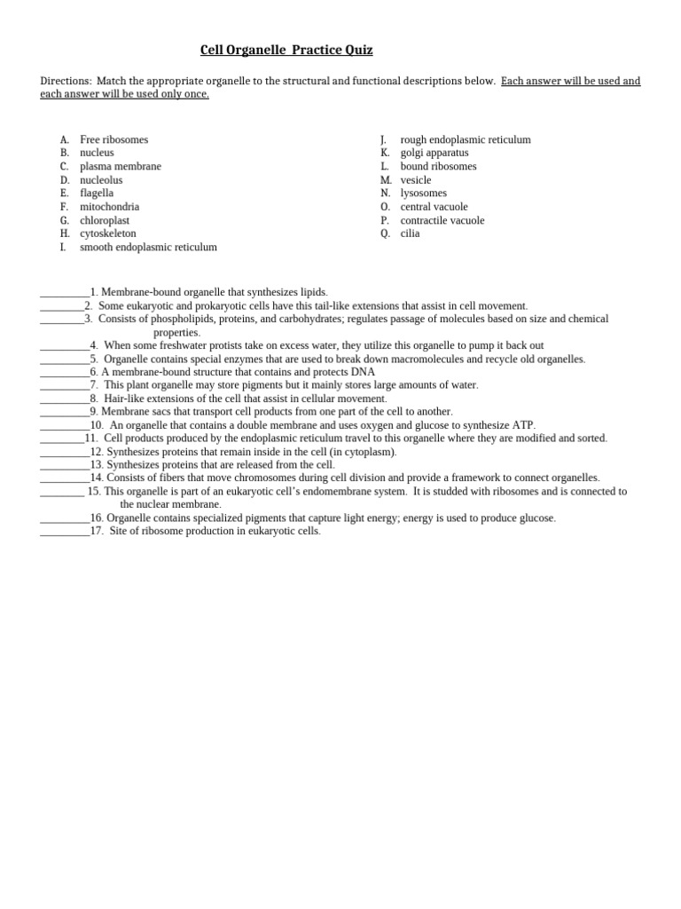Cell+Organelle+Practice+Quiz | PDF | Cell (Biology) | Organelle