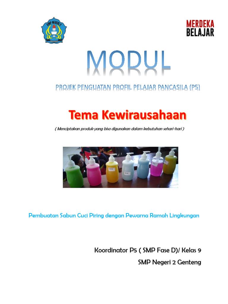 Modul P5 Sabun Cuci Piring Fix | PDF