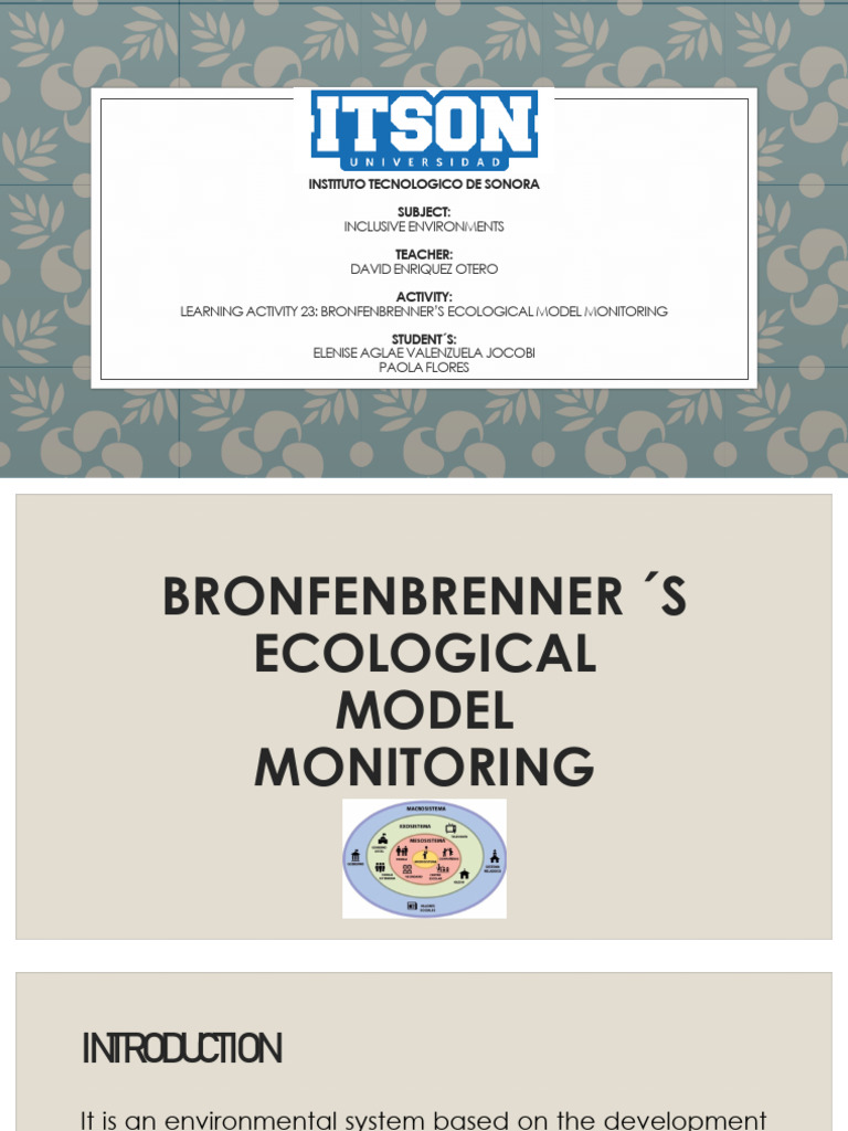 Act-- 23-Bronfenbrenner’s Ecological Model Monitoring | PDF