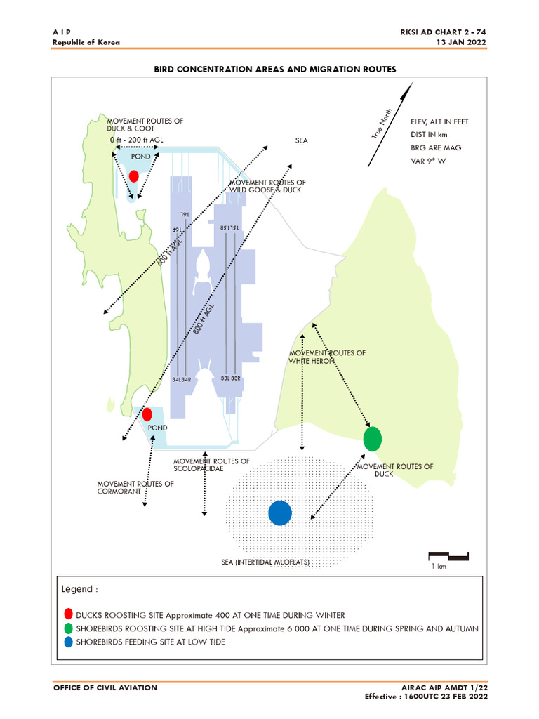 Bird Migration Routes in Korea | PDF | Ornithology | Birds