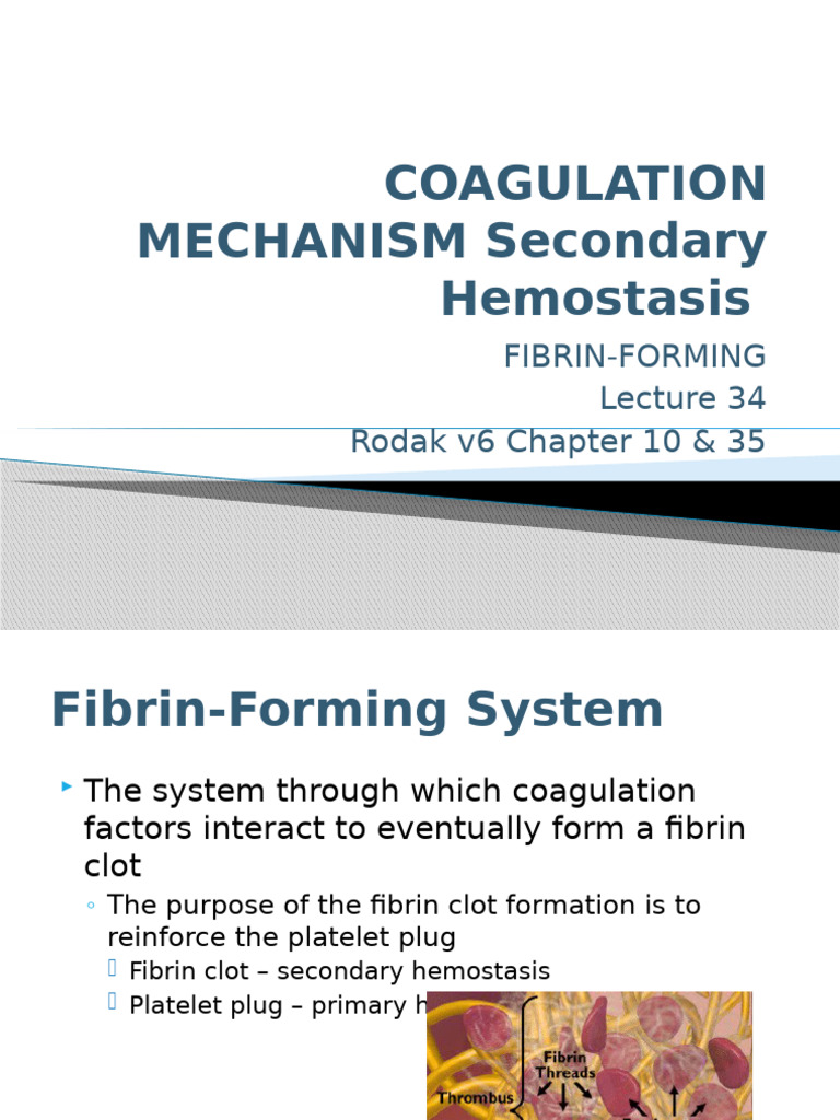 Coagulation Mechanism: Fibrin Formation | PDF | Coagulation | Molecular ...