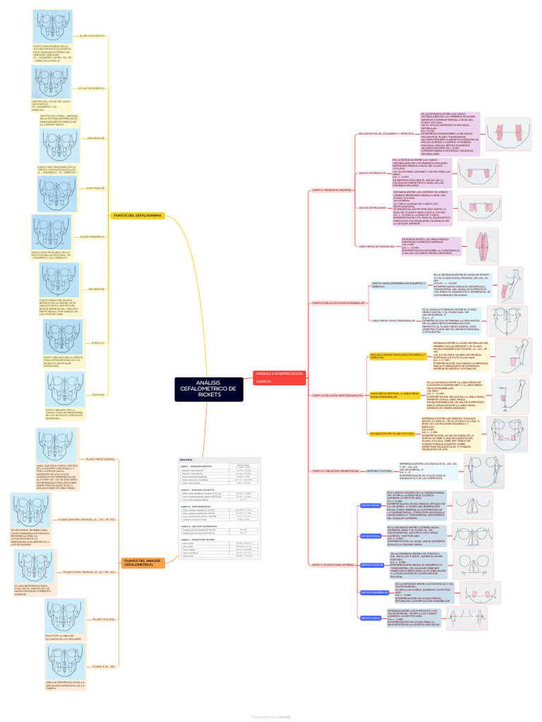 Análisis Cefalometrico de Rickets | PDF | Cabeza y cuello humanos ...