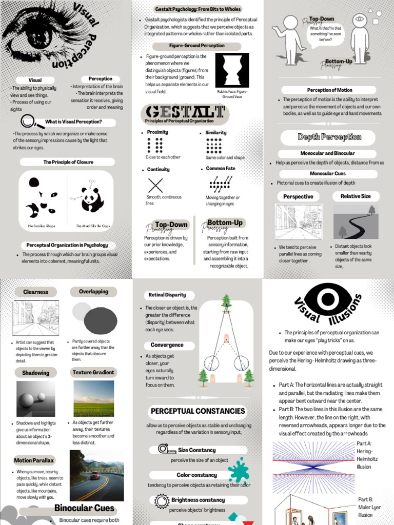 PSY1101 FA3 Visual-Perception | PDF | Perception | Visual Perception