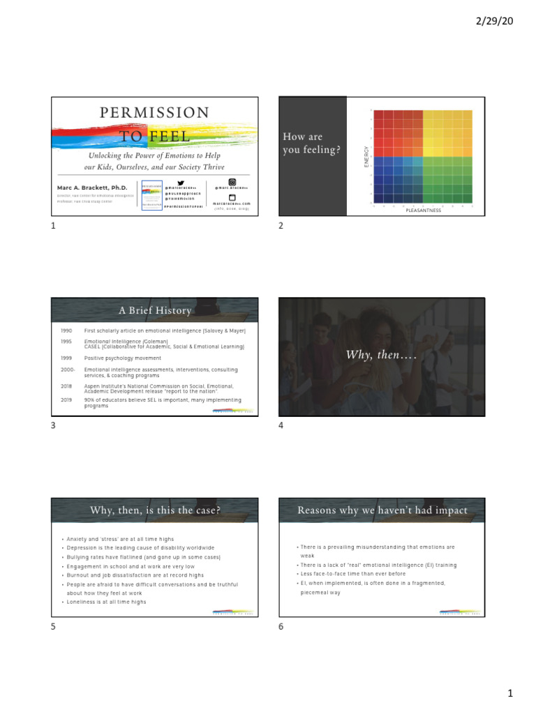 RULER Approach by Marc Brackett | PDF | Emotions | Neuroscience
