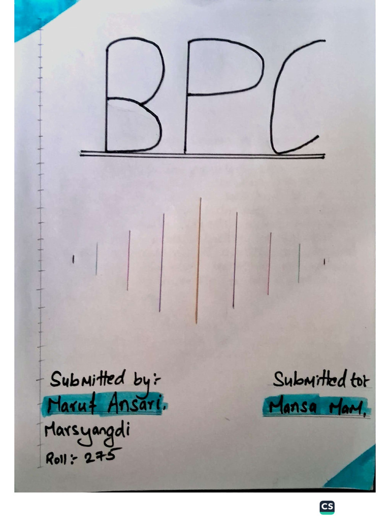 Business Studies Project Pdf