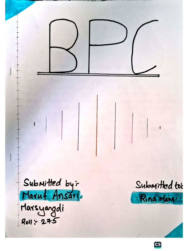 Samajik Project | PDF