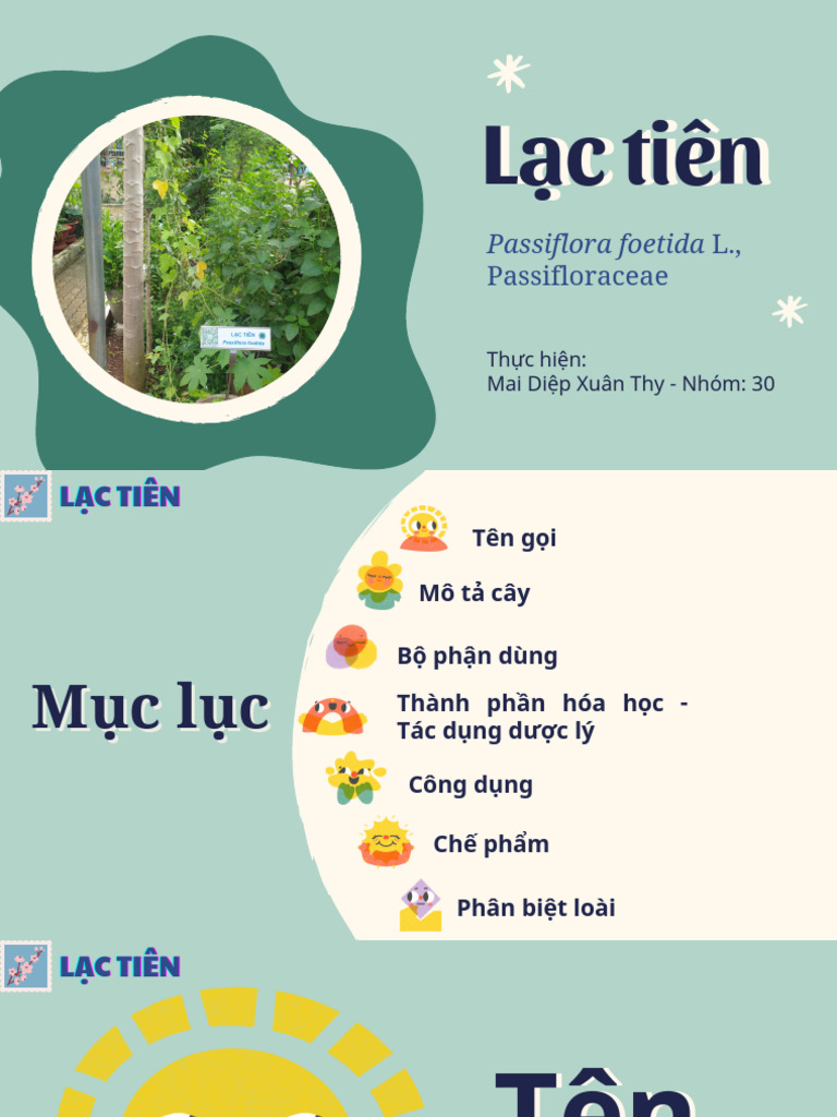 (NTDL) L C Tiên | PDF