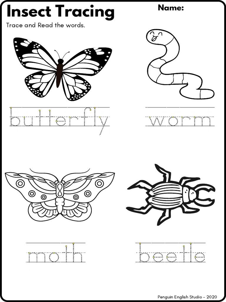 Insects Themed Activity Pack | PDF | Butterfly | Insects