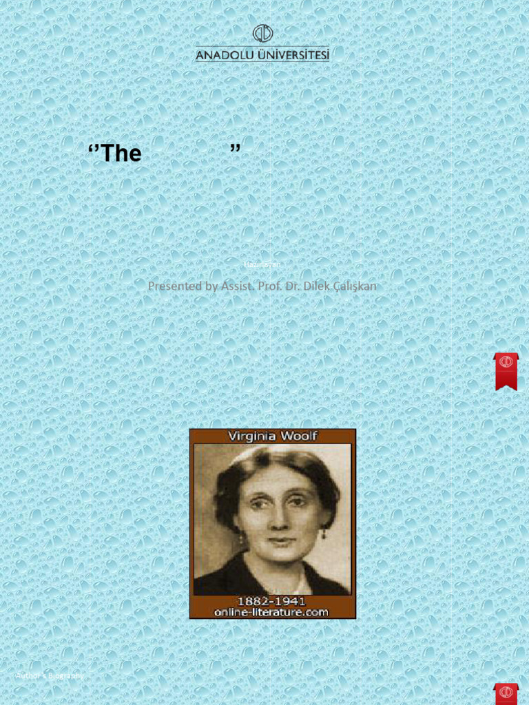 Virginia Woolf's Life and Legacy | PDF | Gender Studies | Feminism