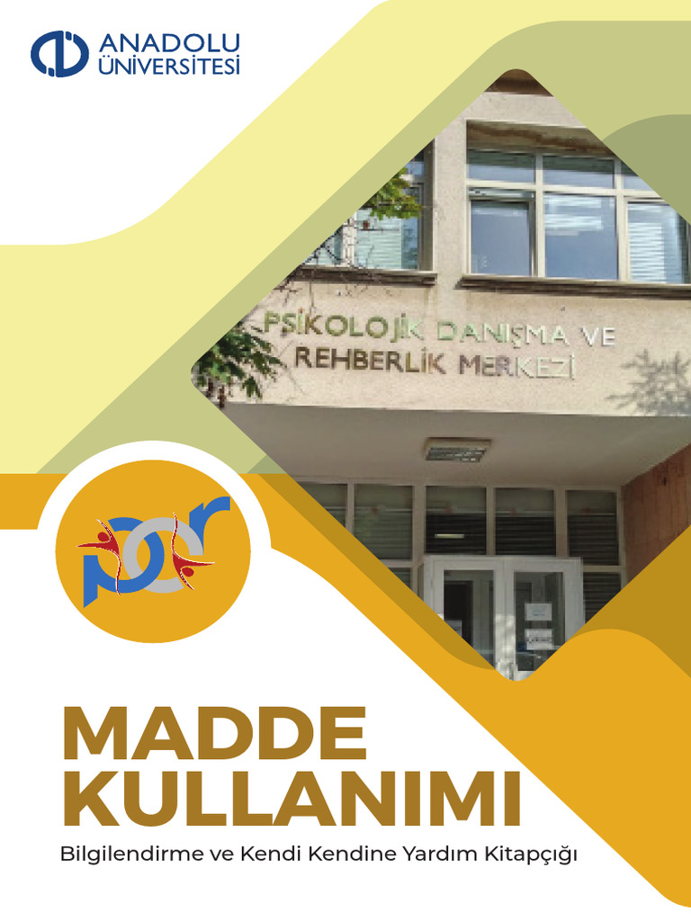 Madde Kullanımı | PDF
