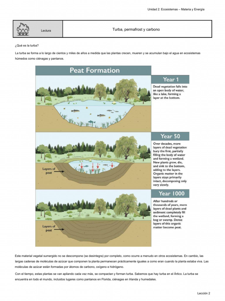 Peat Permafrost Reading Translated | PDF | Turba | Ártico