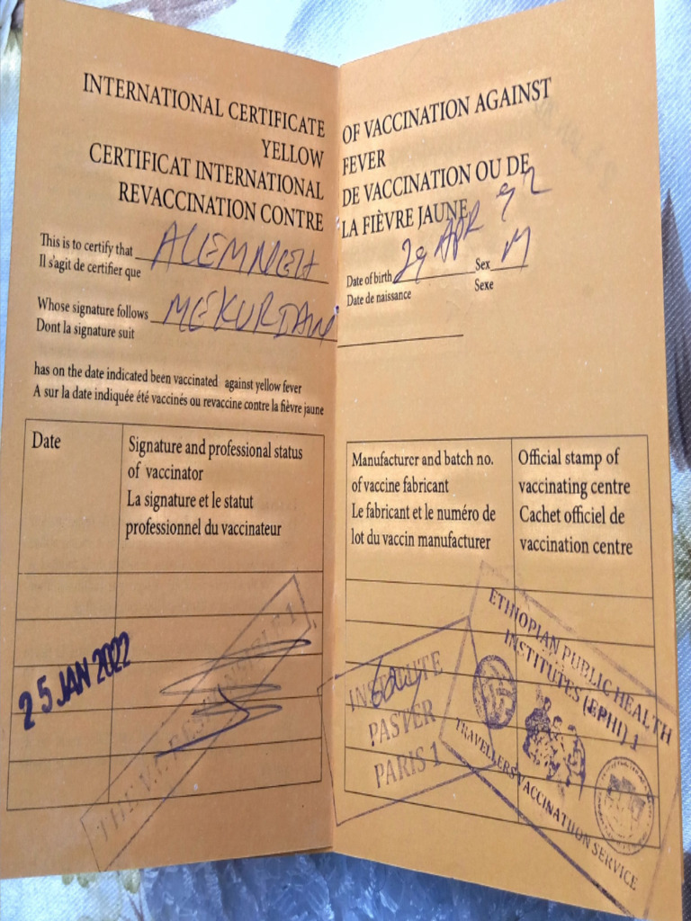 Liyew Yellow Fever | PDF