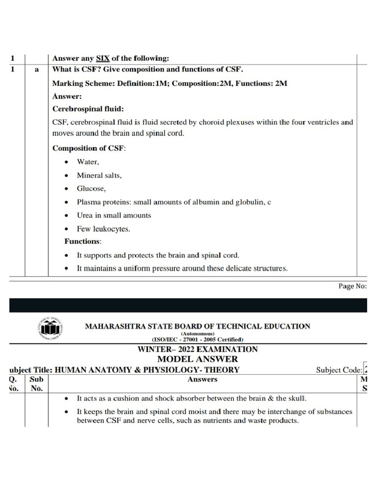 Hap Short Answer Sessional 3 | PDF