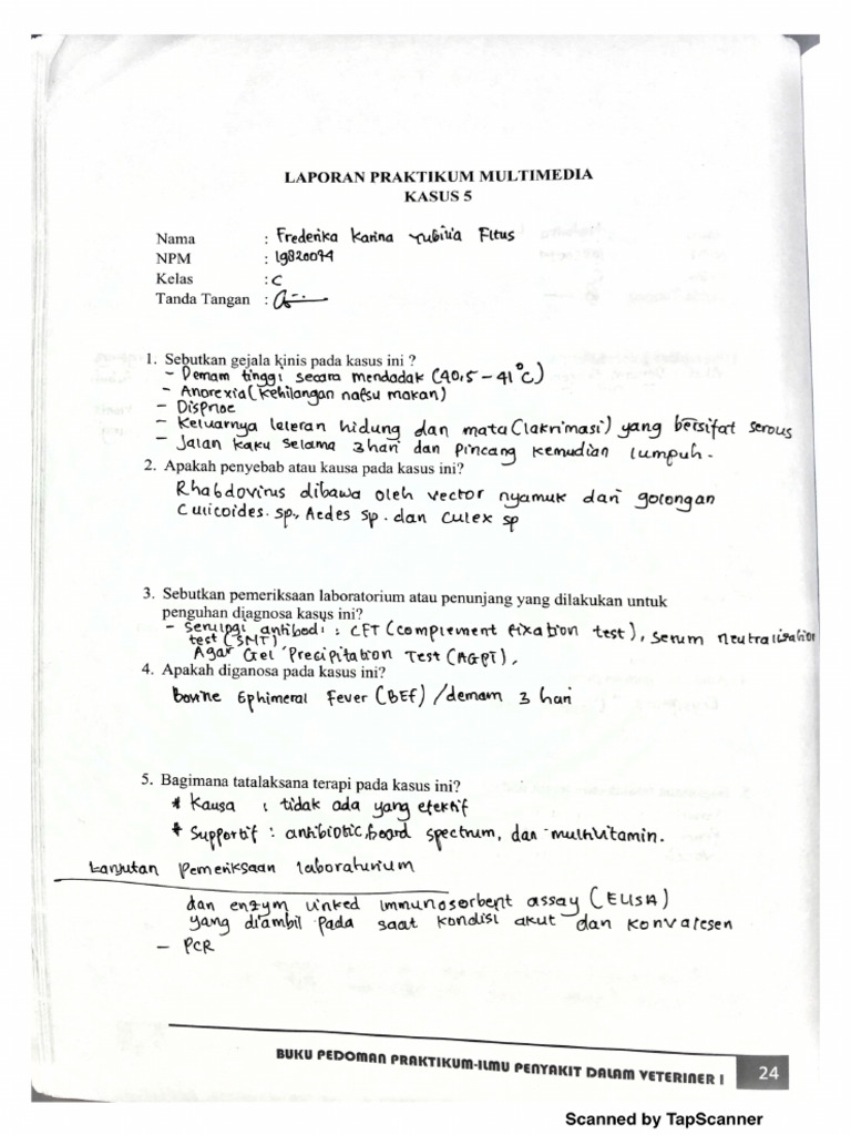 Laporan Pratikum 2 | PDF