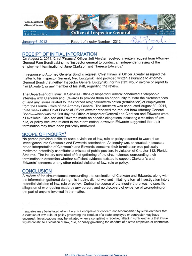 IG Report | PDF