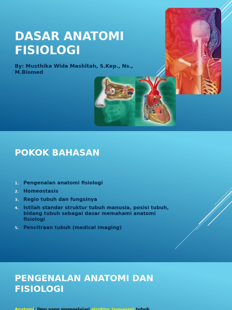 Dasar Anatomi Fisiologi Update | PDF