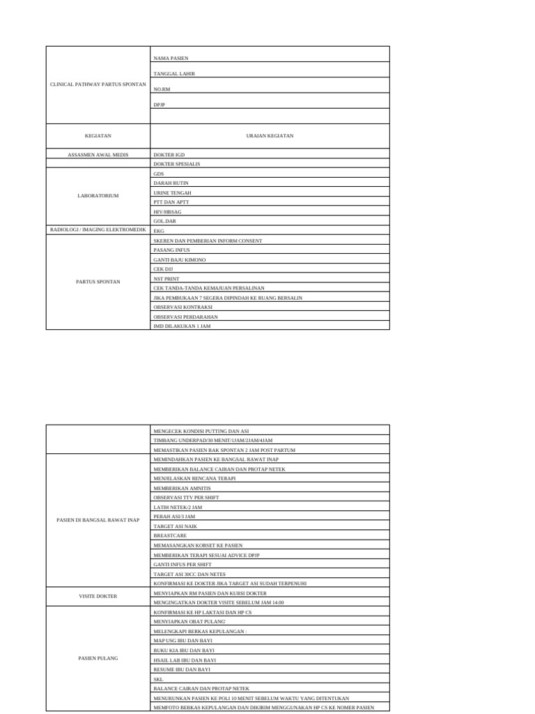 Rencana Klinis Partus Spontan | PDF