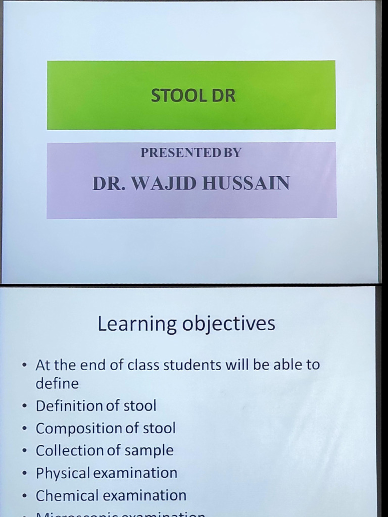 Stool Detailed Report | PDF