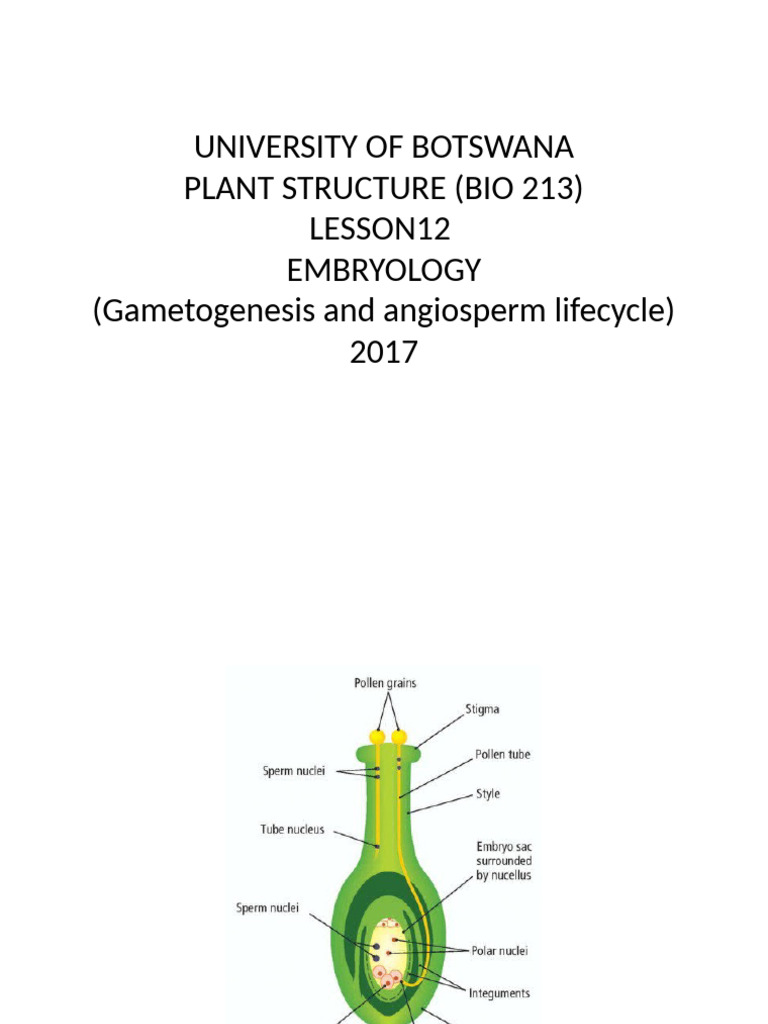 Lesson9 Embryology (Autosaved) | PDF