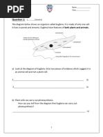 KS3 Science Revision Worksheets Cells | PDF | Vacuole | Cell (Biology)