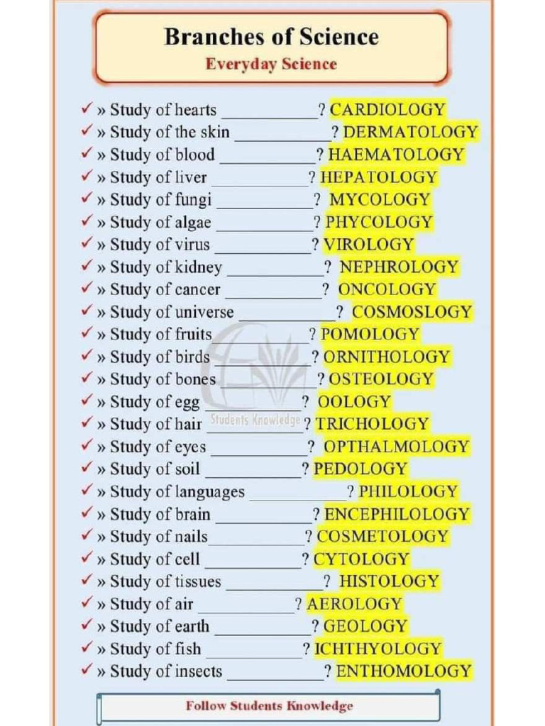 Branches of Science | PDF