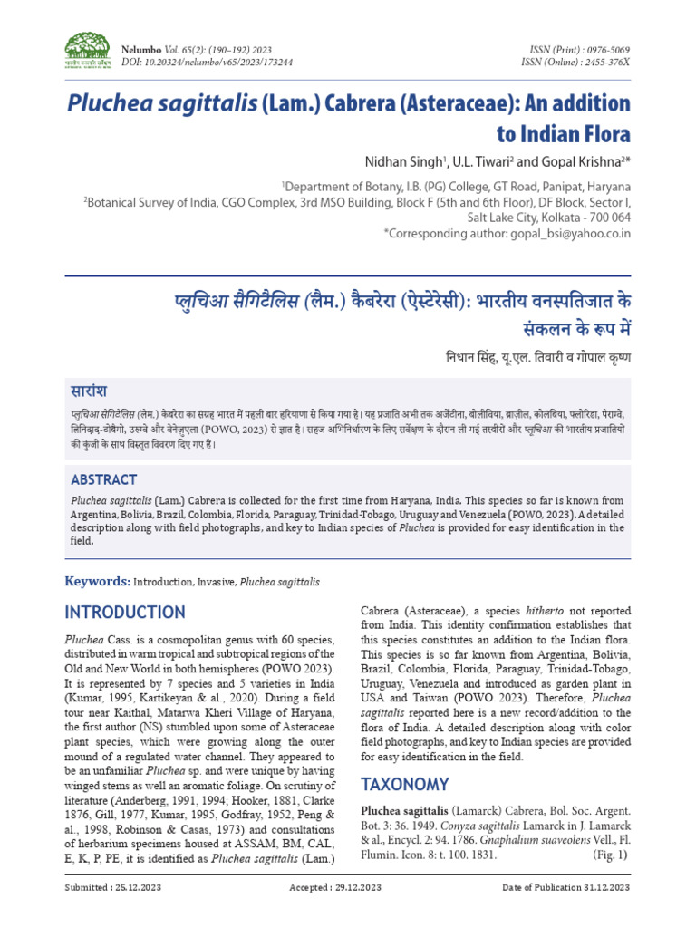 Pluchea Sagittalis (Lam.) Cabrera (Asteraceae) An Addition To Indian ...