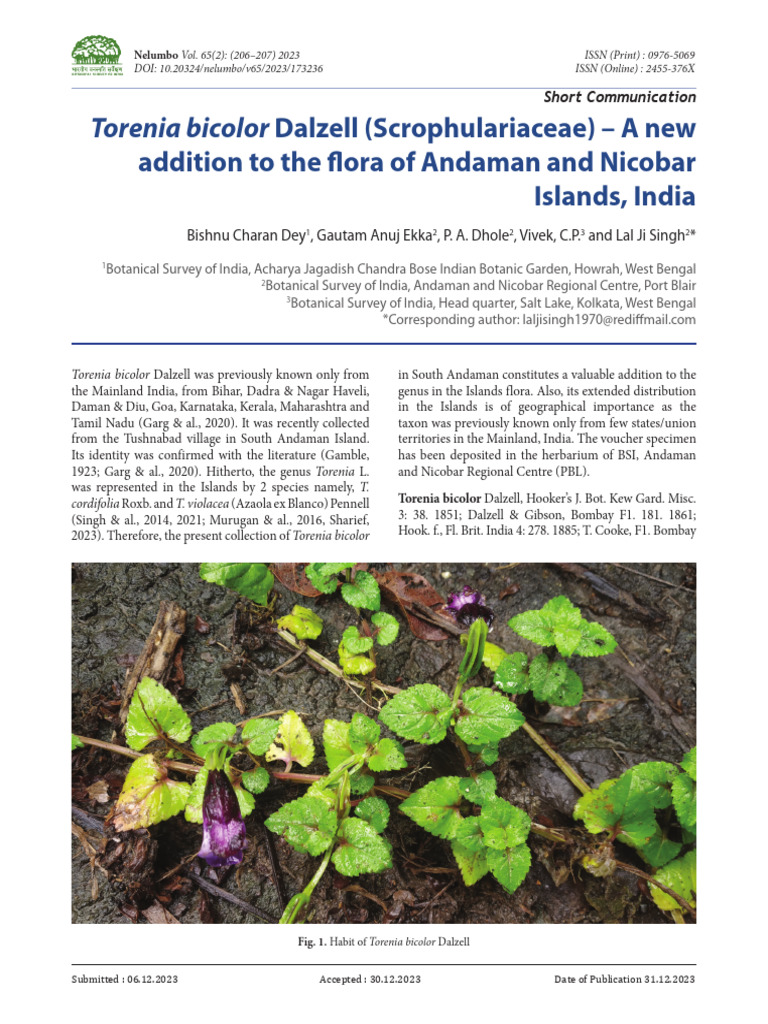 Torenia bicolor: New Flora Record in Andaman | PDF | Leaf | Organisms