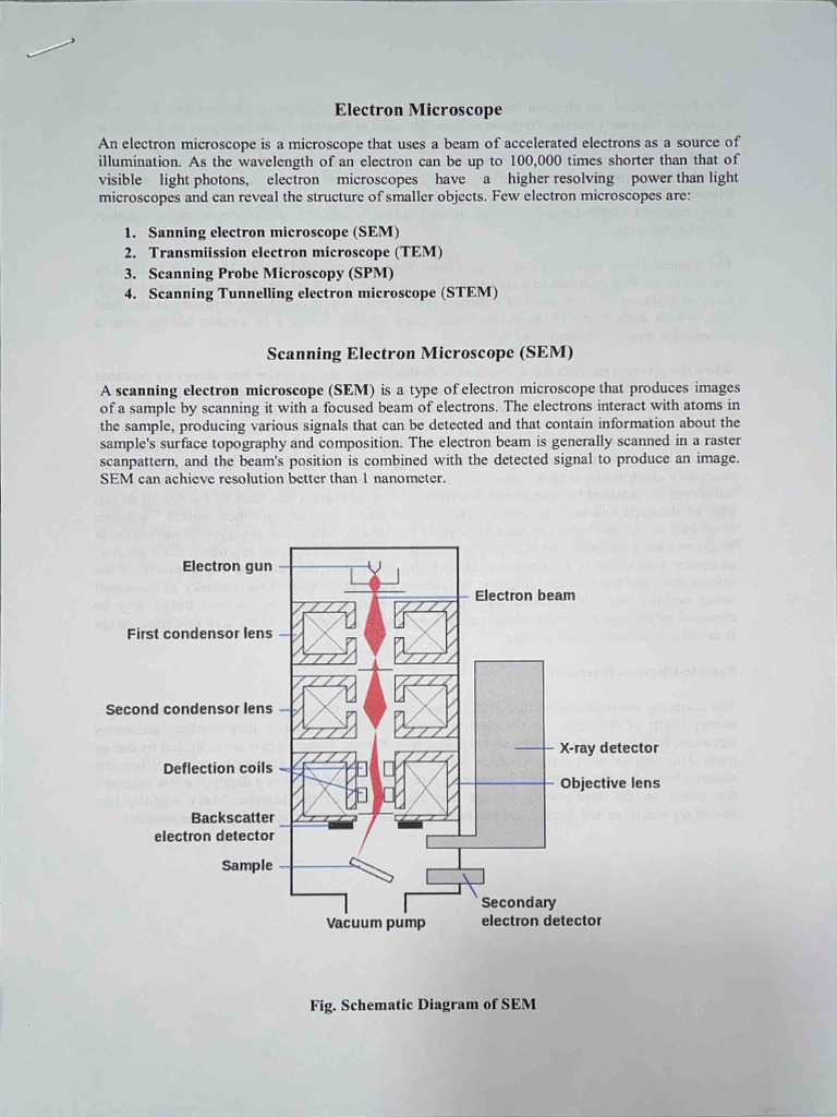 NBT 30 October | PDF