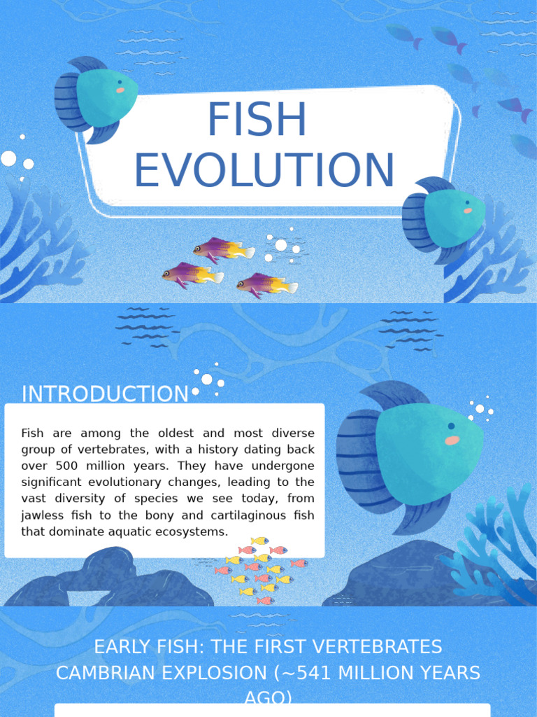 Fish Evolution | PDF | Fish