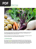 Carrots | PDF | Carrot | Agriculture