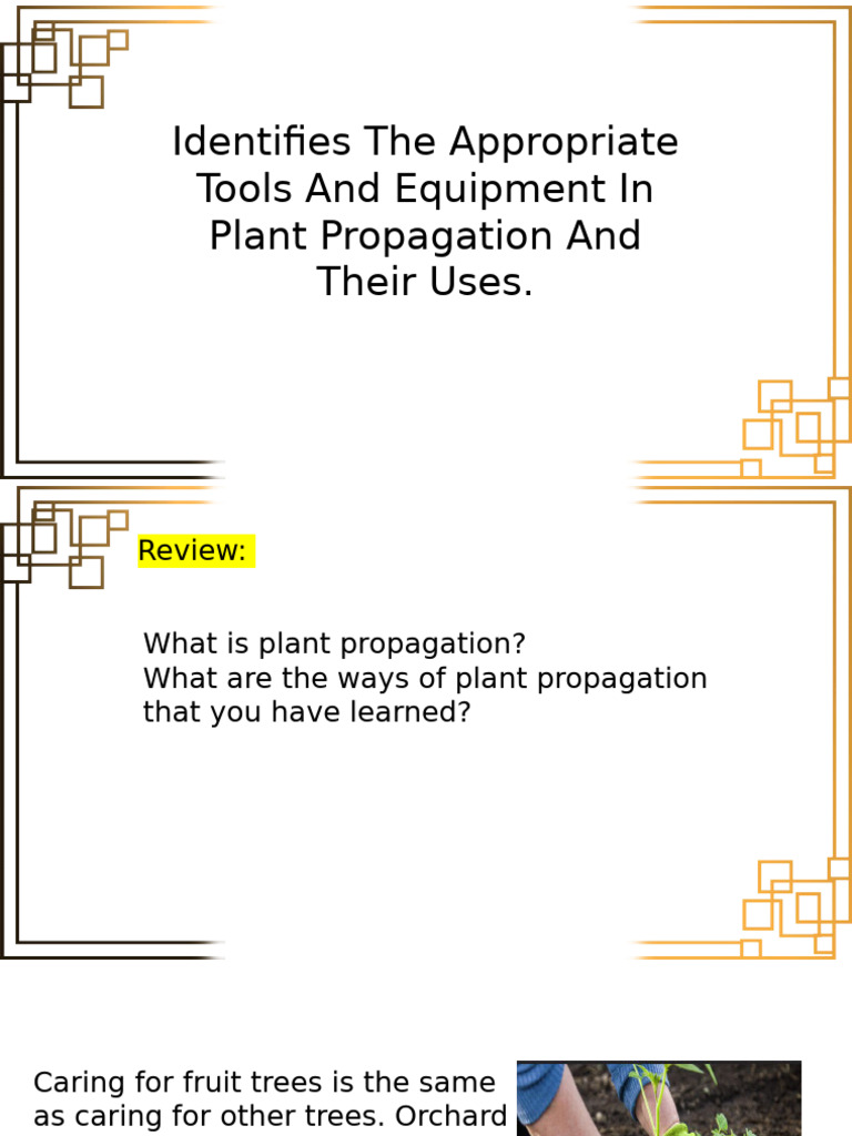 Essential Tools for Plant Propagation | PDF | Tools | Trees
