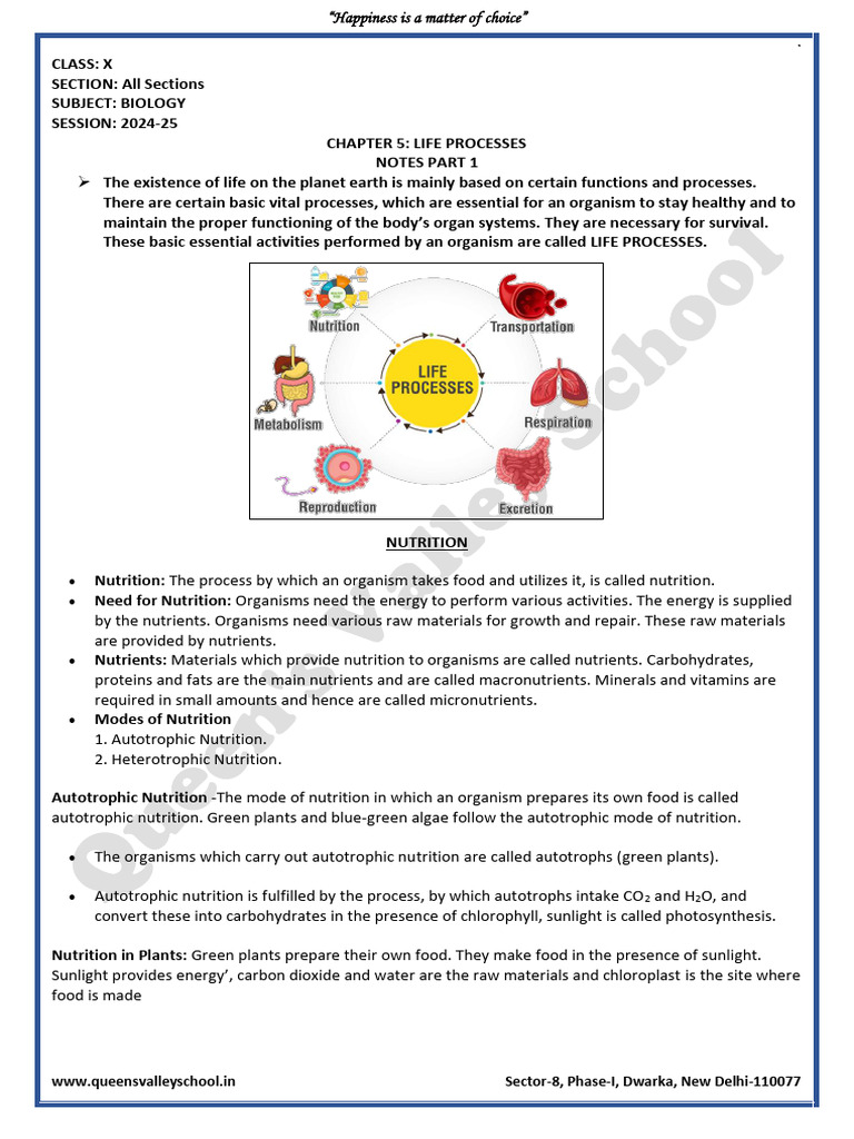 Class X Science (Biology) Chapter-5 Life Processes Notes Part-1 | PDF ...